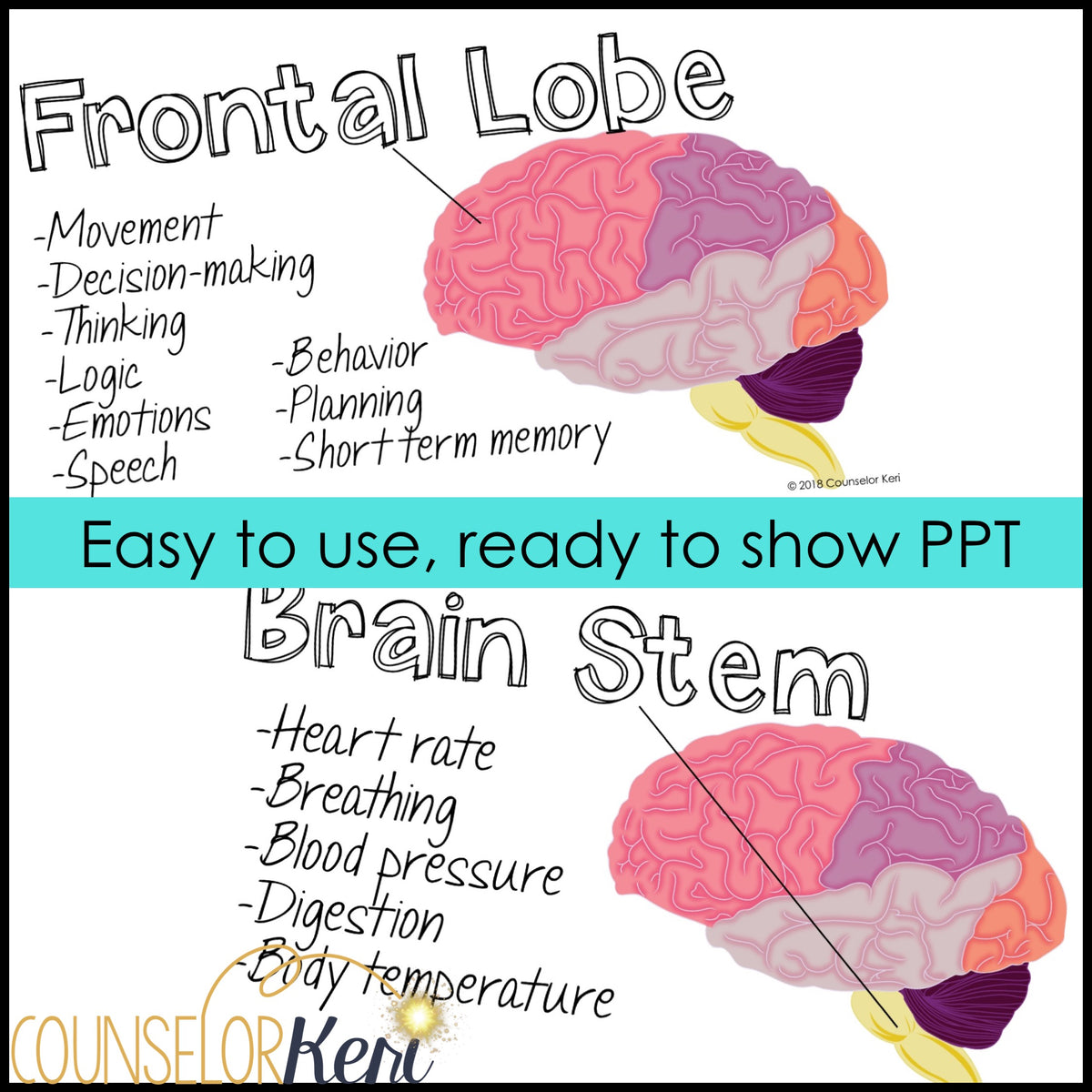 Parts of the Brain Classroom Guidance Lesson & Brain Centers ...