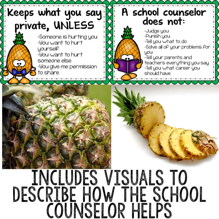 Meet the Counselor Classroom Guidance Lesson Early Elementary School C ...