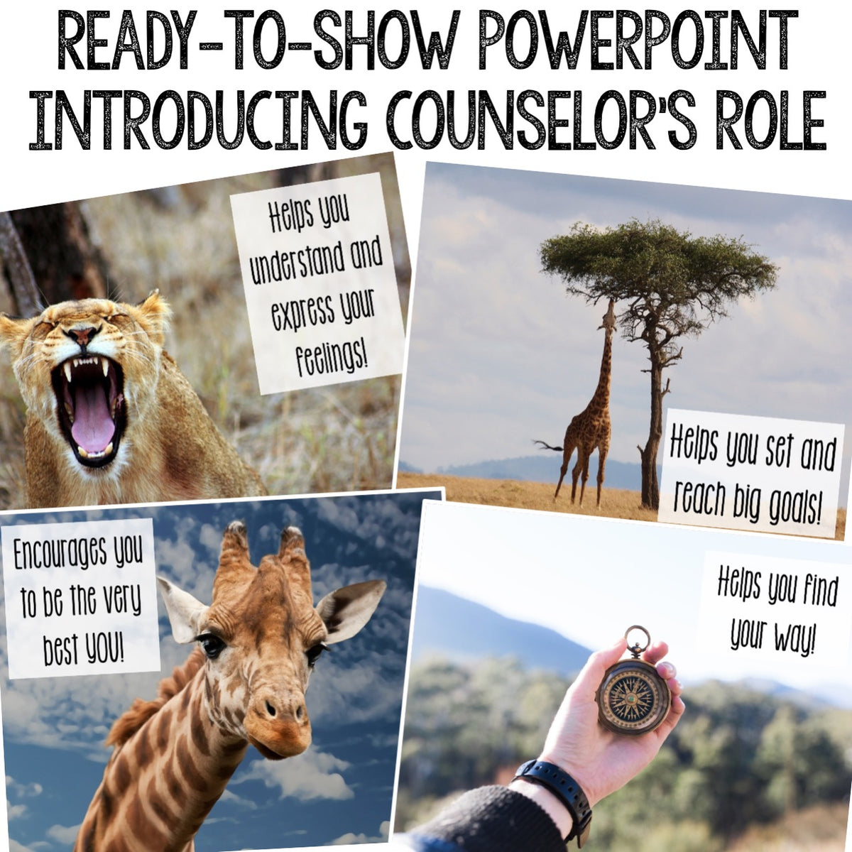 Meet the School Counselor Classroom Guidance Lesson for Early Elementa ...