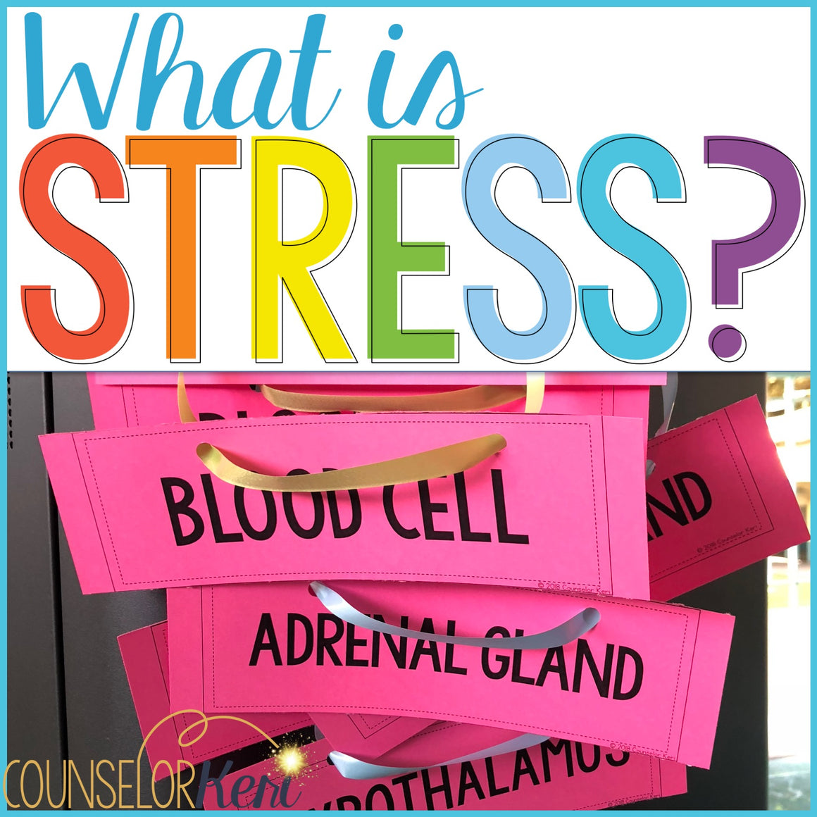 What is Stress Classroom Guidance Lesson on Stress Response System ...