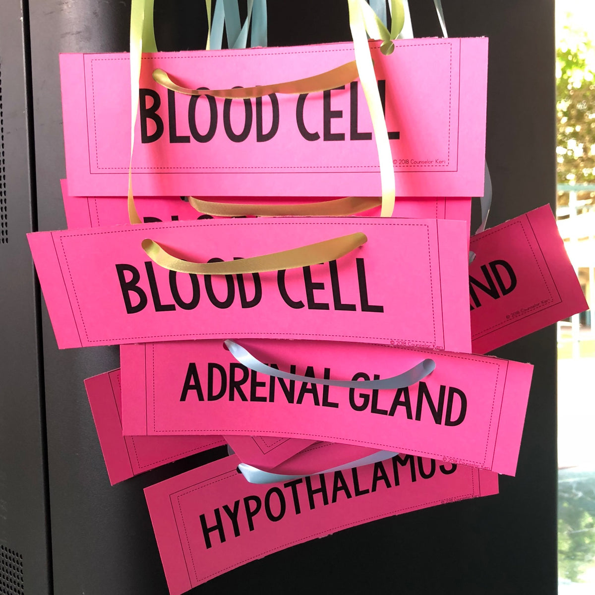 What is Stress Classroom Guidance Lesson on Stress Response System ...