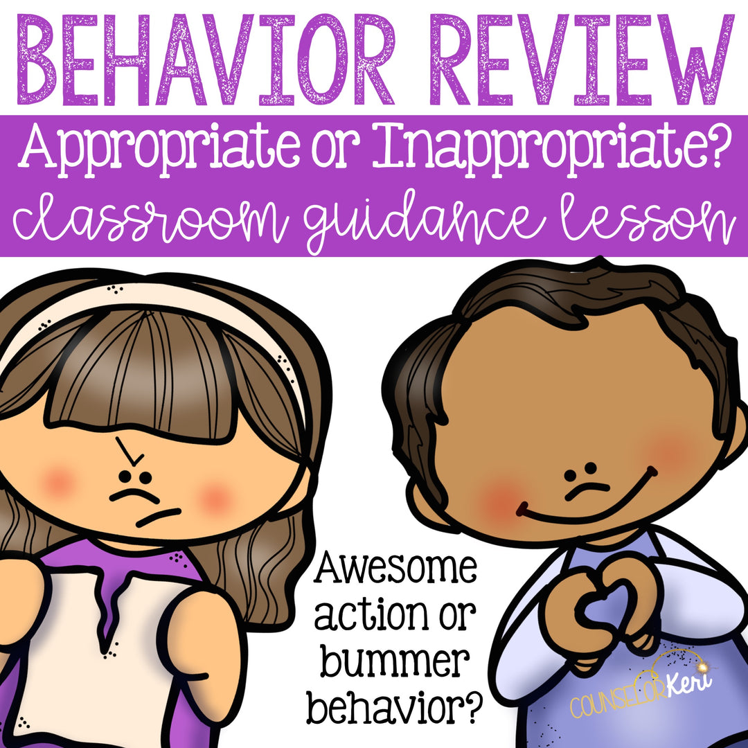 Appropriate Behavior: Making Good Choices Classroom Guidance Lesson ...