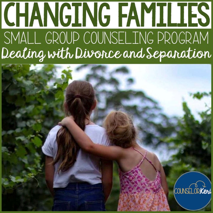 Family Changes Small Group Counseling Program for Divorce or Separatio ...