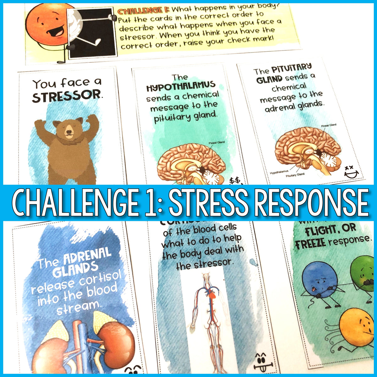 Stress Management Activities: Stress Escape Room for School Counseling ...