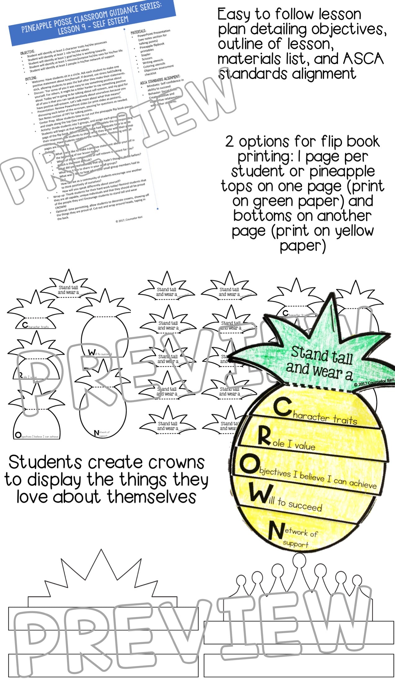 Self Esteem Classroom Guidance Lesson for School Counseling Pineapple ...