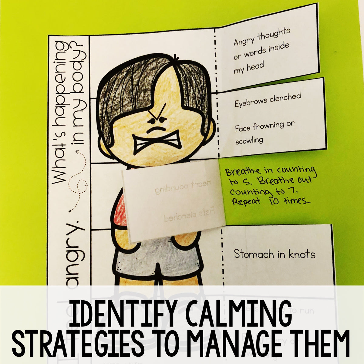 Feelings and Calming Strategies: Identify Emotions and Coping Skills ...